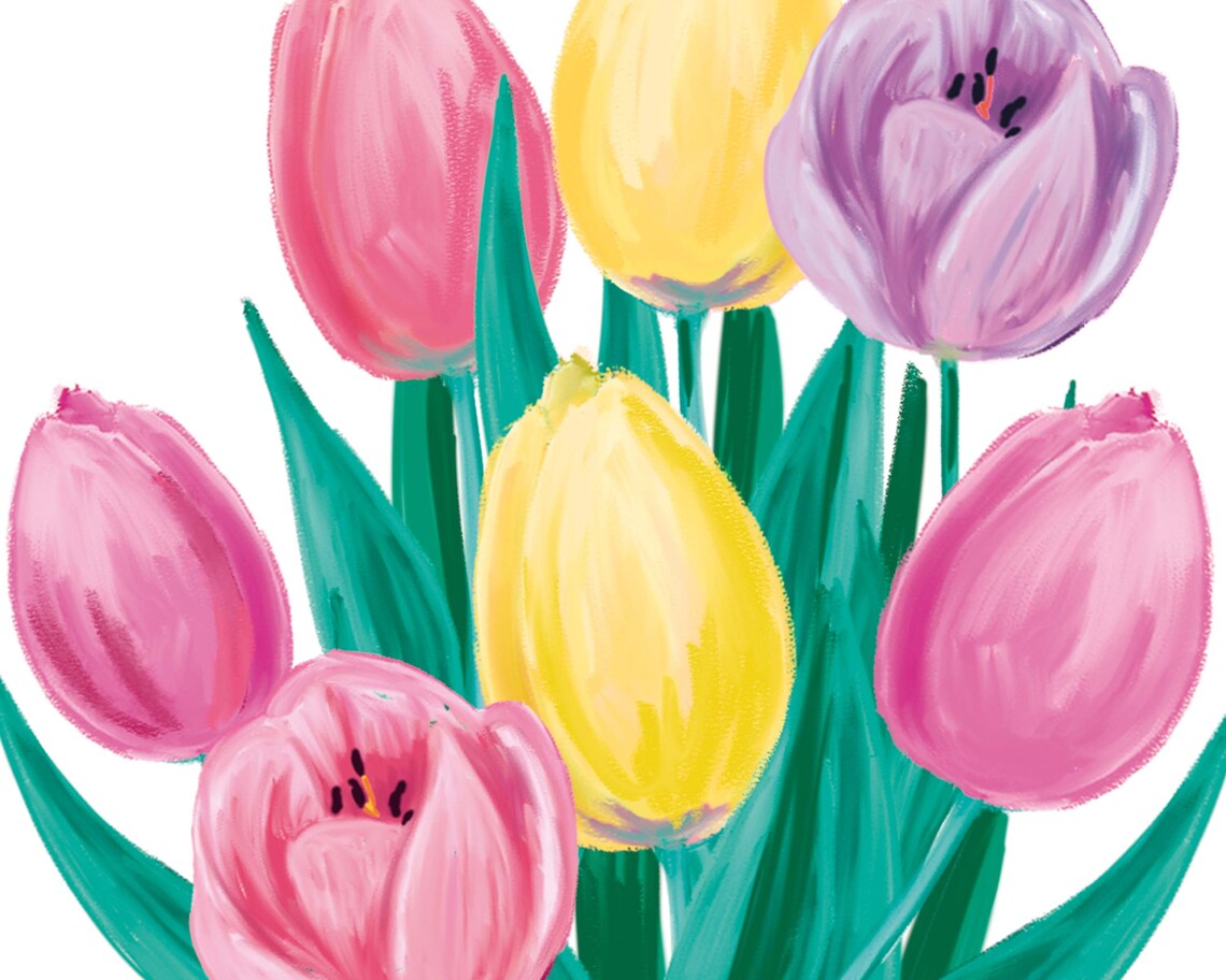 Hand Drawn Tulips Clipart for Gifft Spring Flowers Tulips PNG Floral ...
