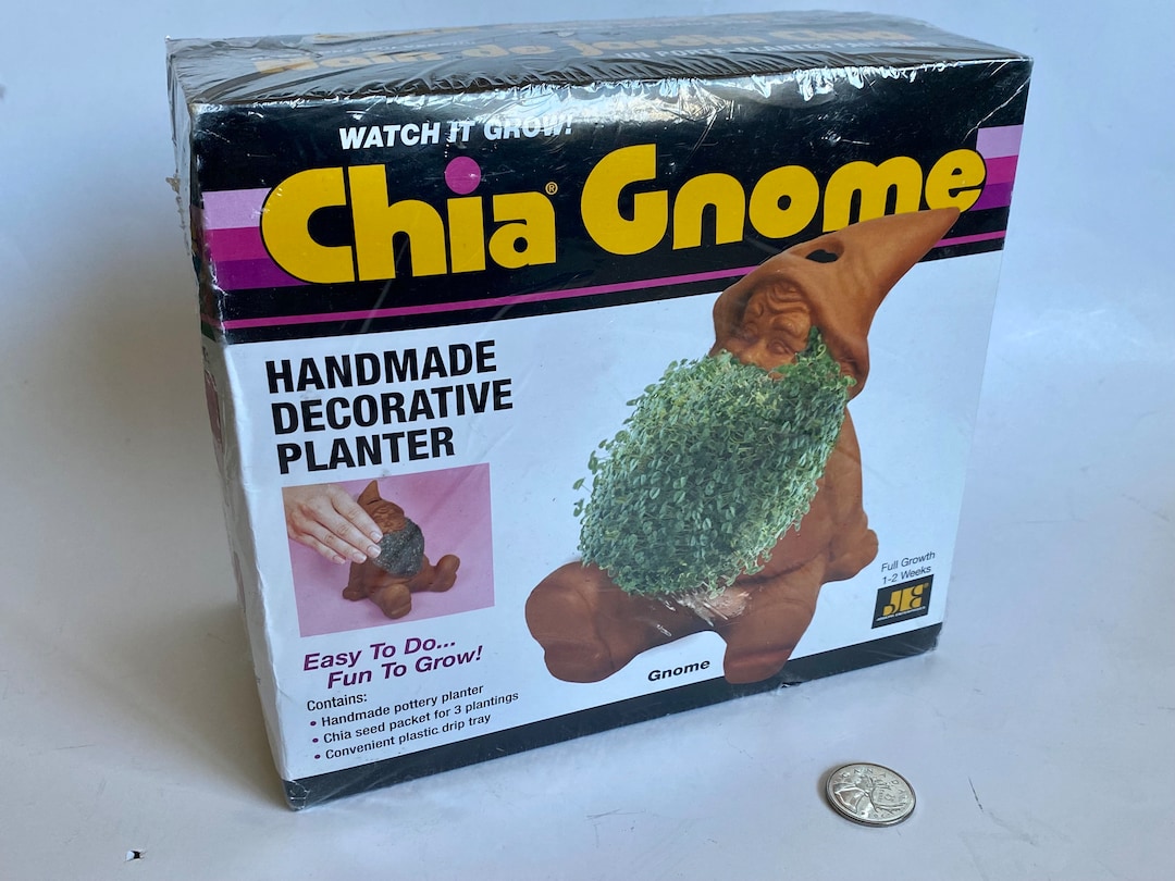 Brand New Gnome Chia Pet, Garden Gnome Chia Planter Sculpture, Clay ...