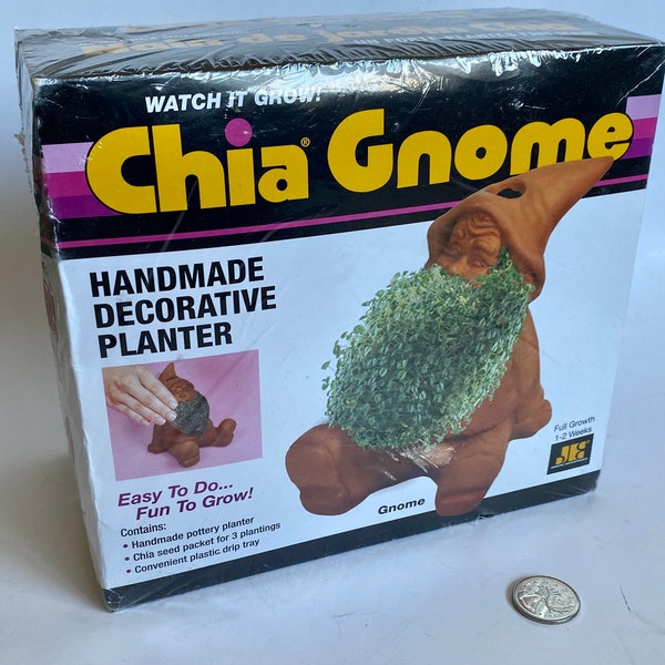 Chia Pet - Etsy