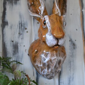 COMMISSION LISTING - Tan and White Hare/rabbit With Amber Eyes - Hare ...