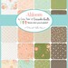 Abloom by Corey Yoder for Moda, Fat Quarter Bundle, 100% Cotton, Store ...
