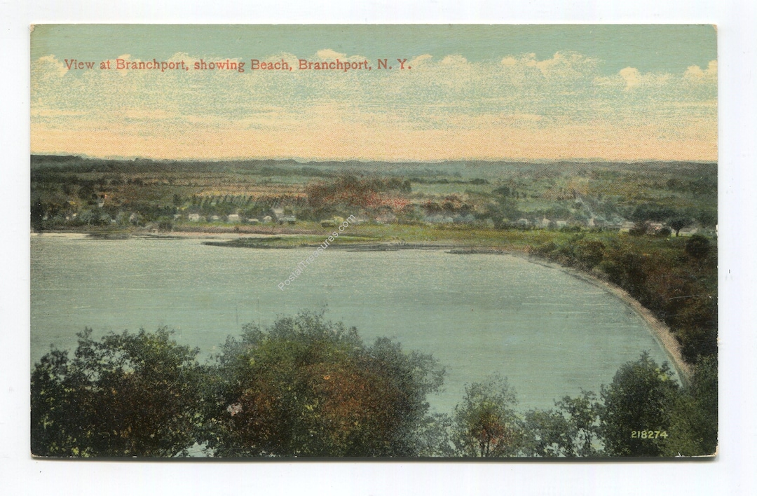 View at Branchport Showing Beach Branchport New York Postcard - Etsy