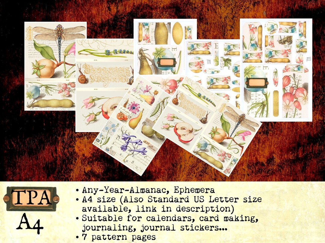 Dragonfly Ephemera Kit: A4 Junk Journal Paper, Stickers (digital ...