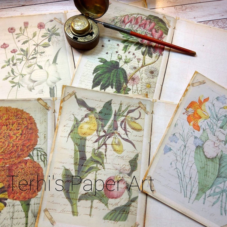 Botany No.3 Digital Botanical Journal Pages Supply for - Etsy New Zealand