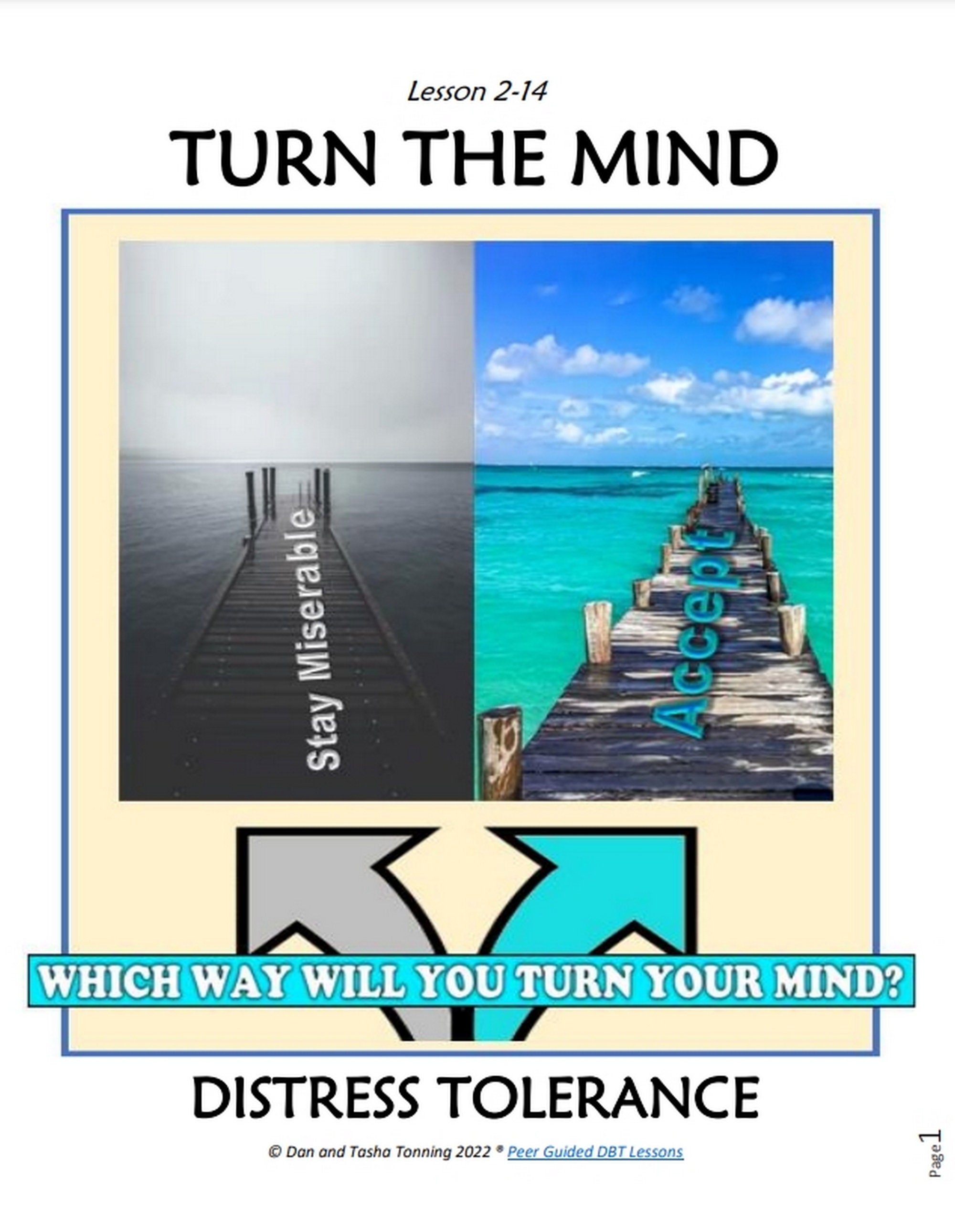 D.B.T. LESSON 2-14/ Distress Tolerance TURN the MIND Skill Worksheets ...
