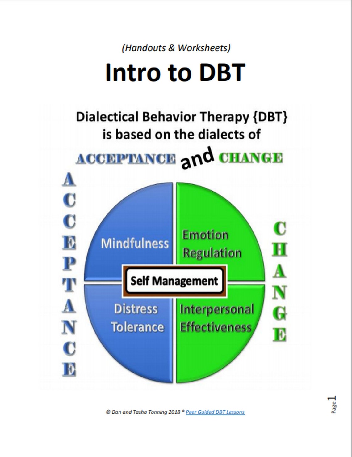 DBT LESSON 0-1 / Introduction to Dialectical Behavior Therapy ...