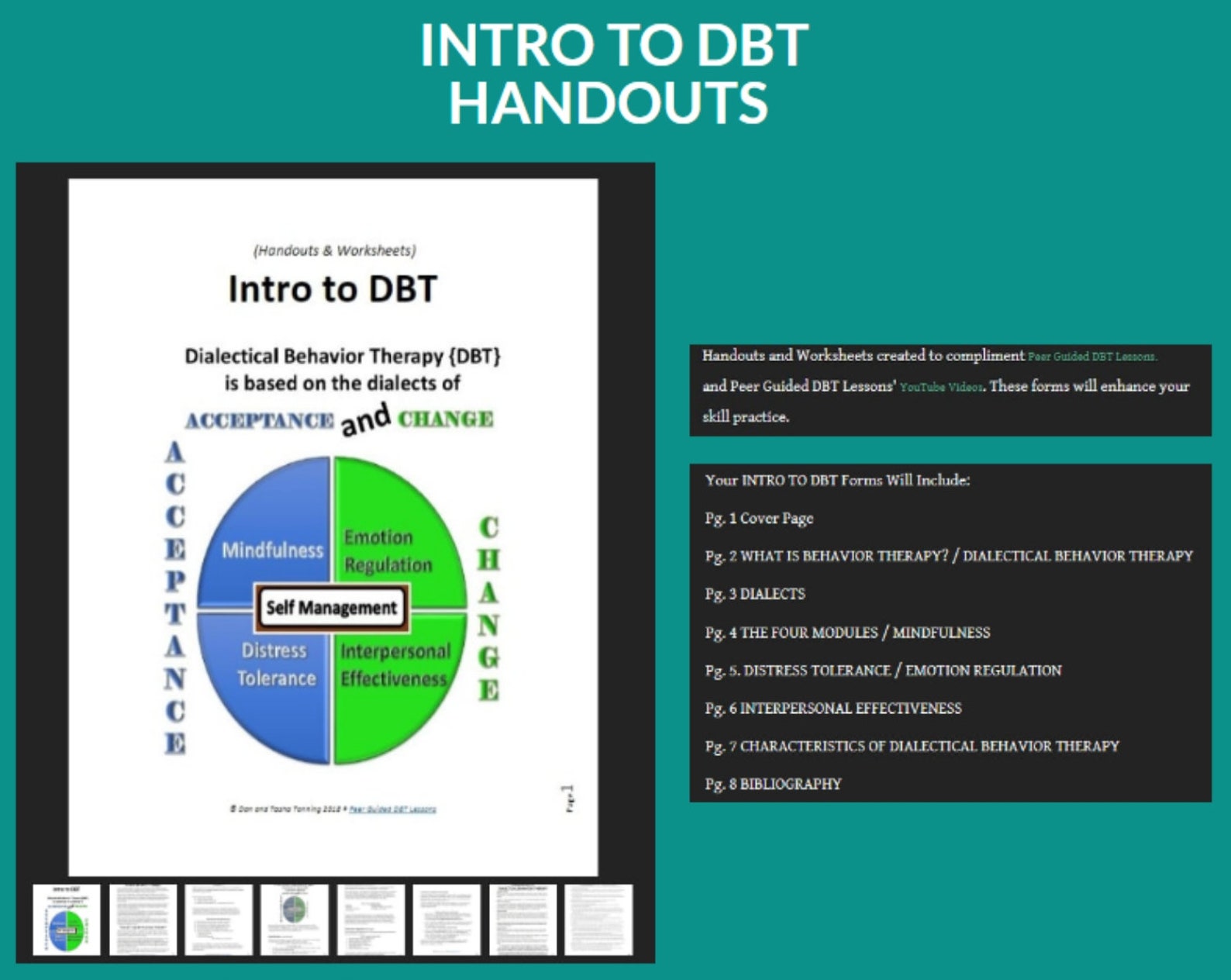 DBT LESSON 0-1 / Introduction to Dialectical Behavior Therapy ...
