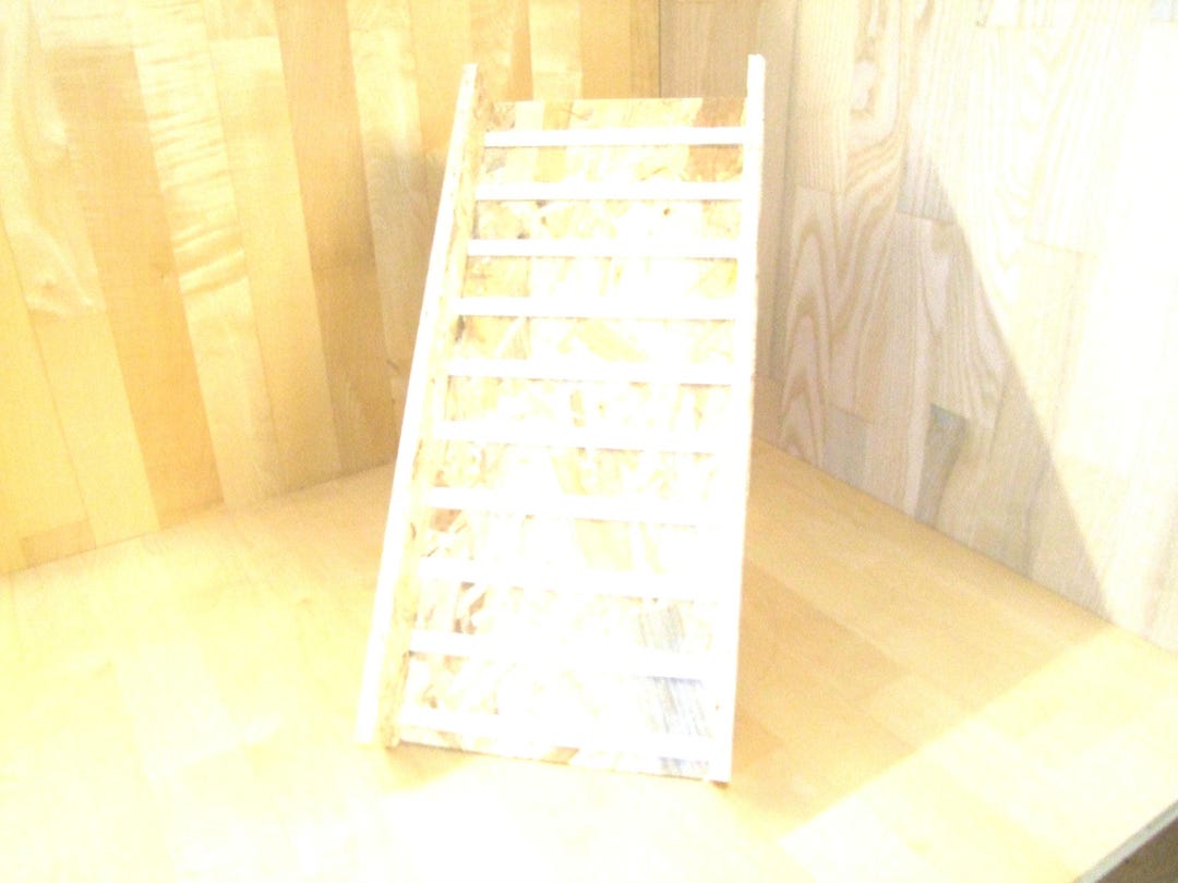 Rodent Ladder Made of OSB, Length From 10 Cm to 80 Cm. Width 12 Cm. New ...