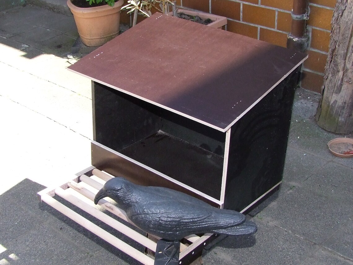 Kestrel Nest Box Birds of Prey Nest Box Falcons Kestrels - Etsy