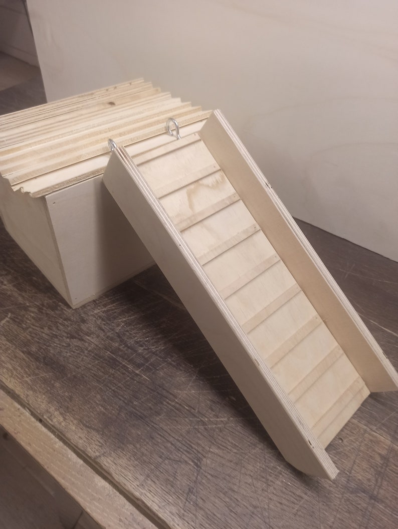 Rodent Stairs Made of Robust Blockboard Birch. Length From 10 - Etsy