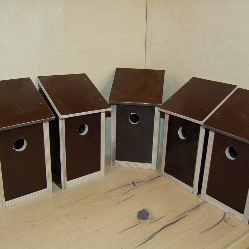 Robin Nesting Box - Etsy