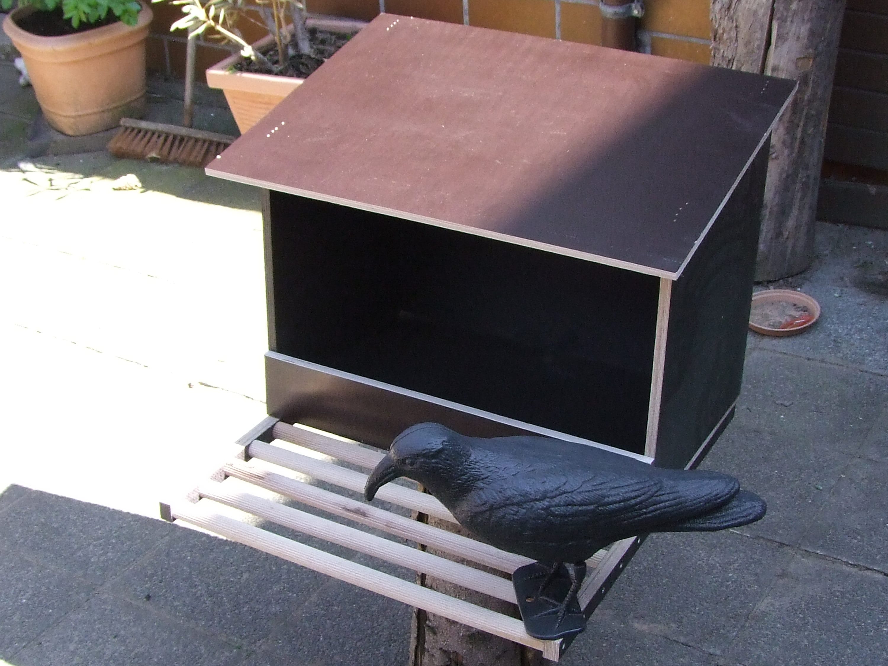 Kestrel Nest box Birds of prey Nest box Falcons Kestrels | Etsy