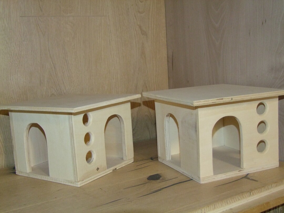 Hamster House, Mouse House, Rat House Made of Poplar New Goods Stable ...