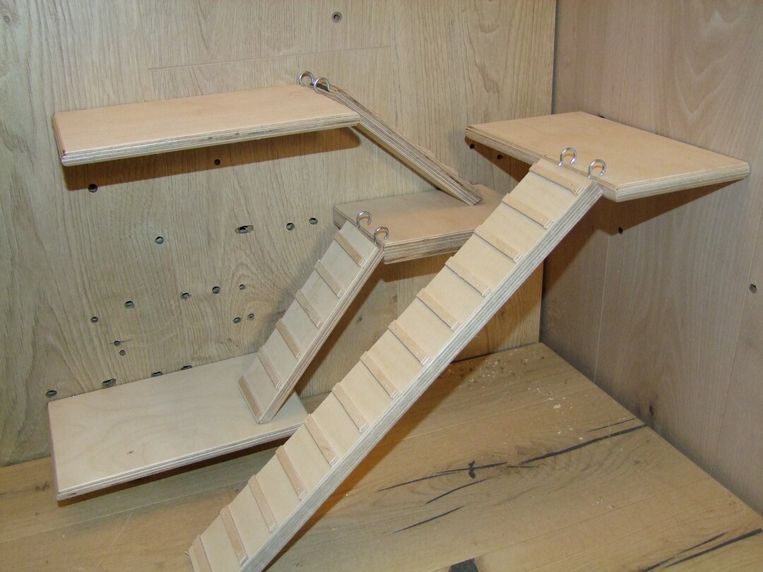 Set of 5 Seat Boards, Hamster Seat Boards With 3 Rodent Ladders - Etsy