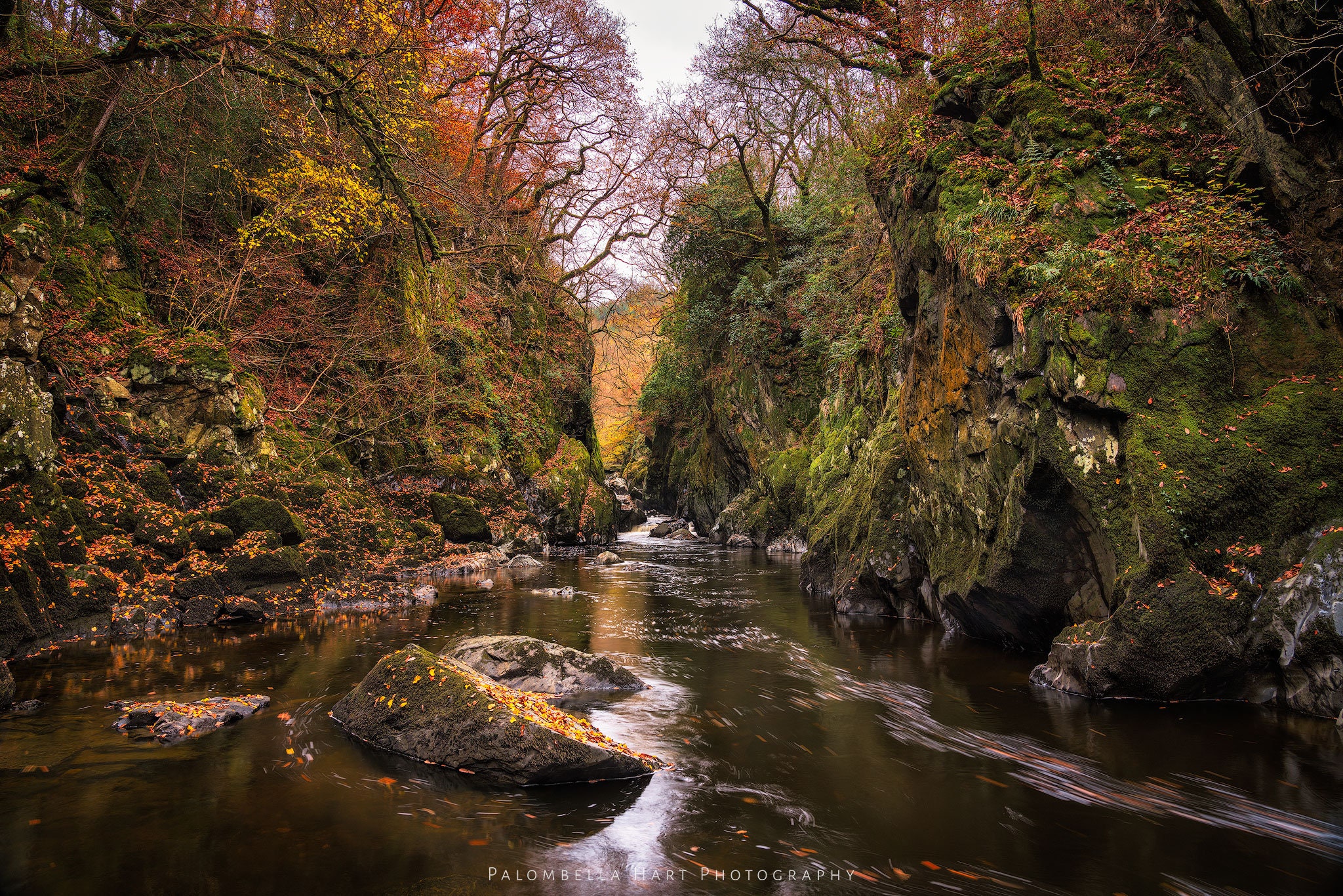 Fairy Glen Photograph Autumn North Wales Landscape | Etsy