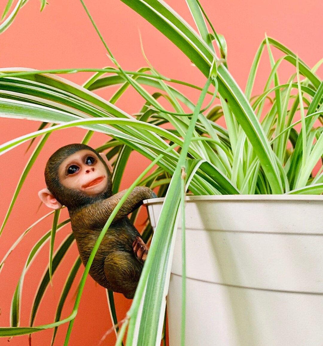 Monkey Garden Pot Huggers Plant Hugger Hangers Pot Buddies - Etsy