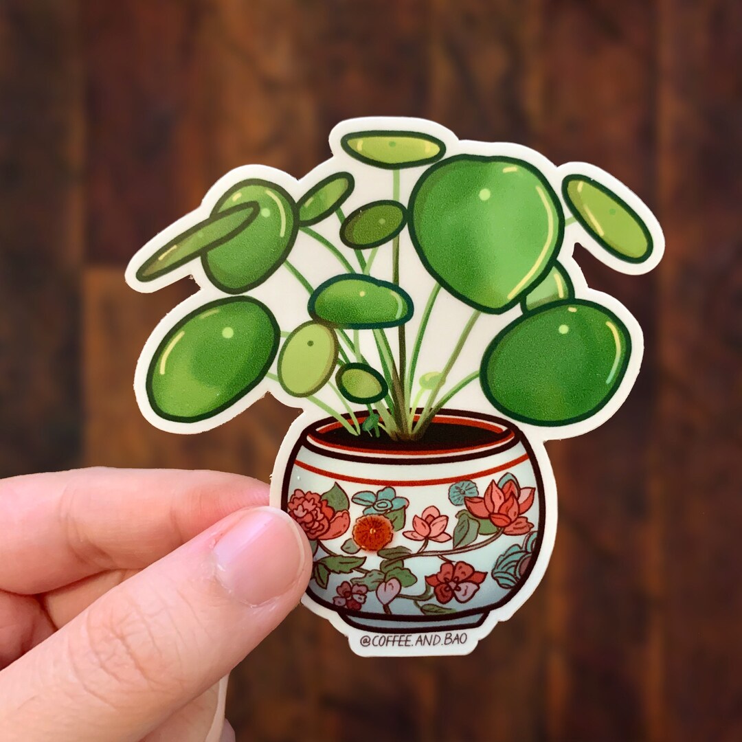Money Plant - Cute Plant Sticker, Plant Decal, Plant Laptop Sticker ...