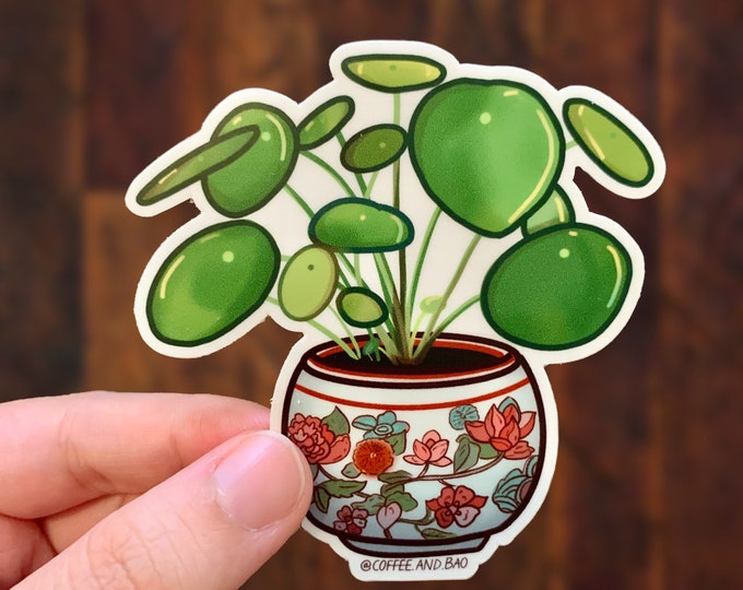 Money Plant Sticker Plant Lady Plant Lover House Plant Money Plant Mom ...