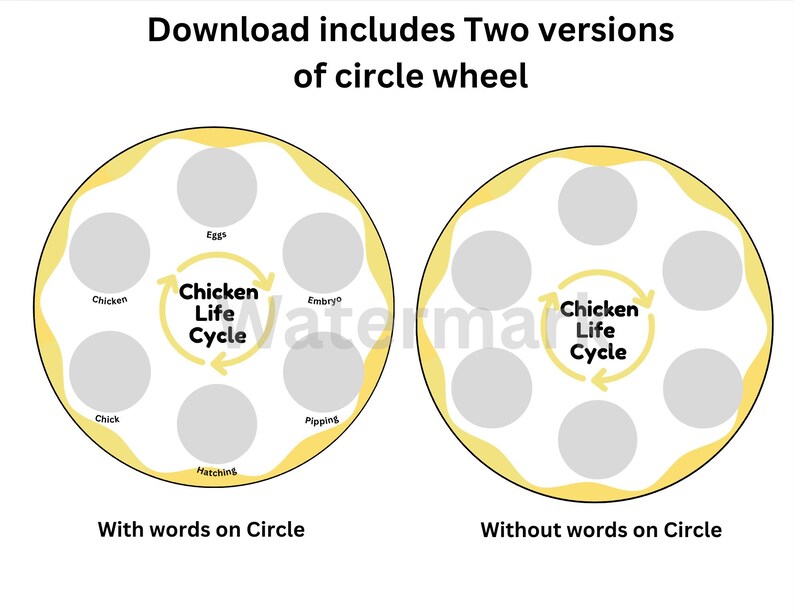 Chicken Life Cycle Activity Digital Download // Sequencing //preschool ...