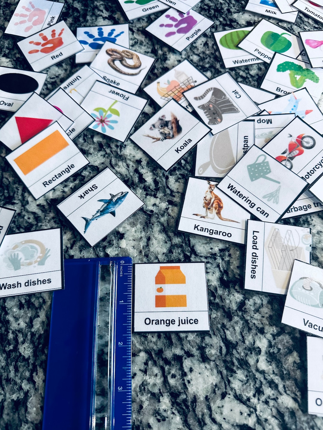 Loose Pictures Cards 250 Pack Therapy Communications Speech ABA Teacher ...