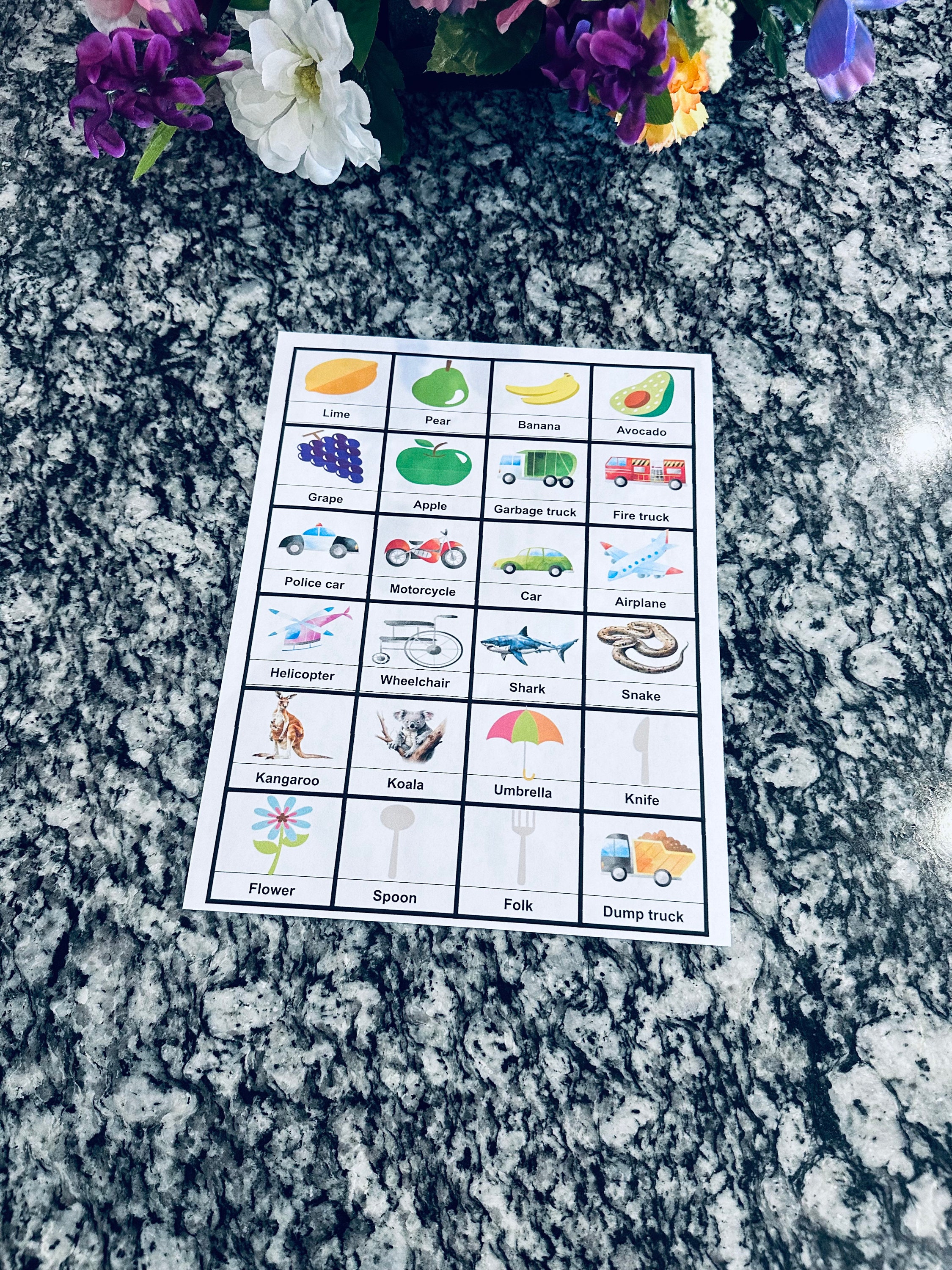 380 Pec Kid Picture Cards Visual Communication Aid Speech Therapy ABA ...