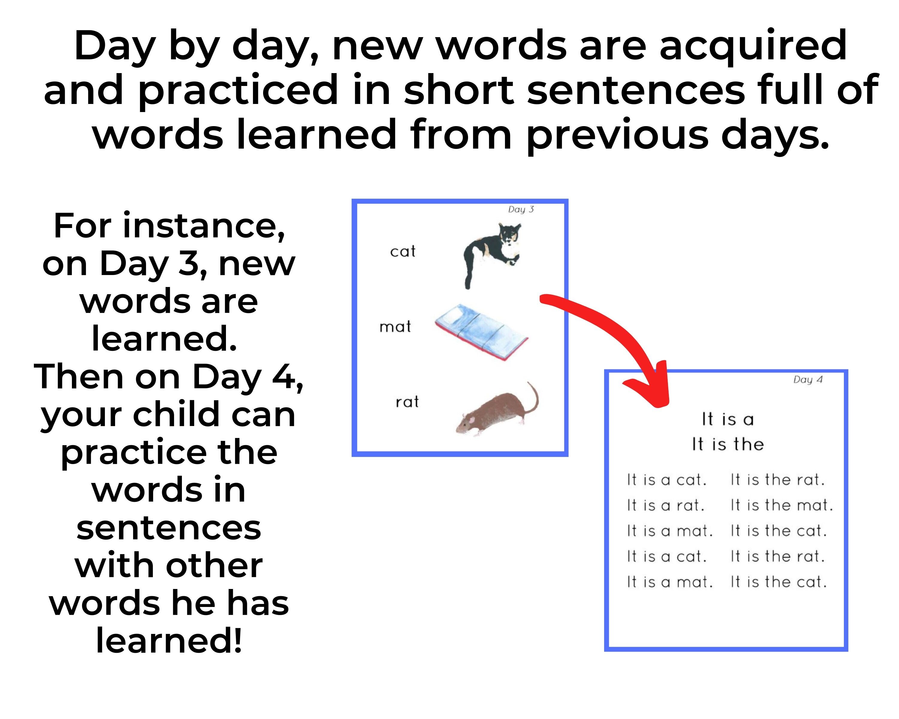 Sight Words Made Simple - A Printable Workbook of 56 Short Daily ...