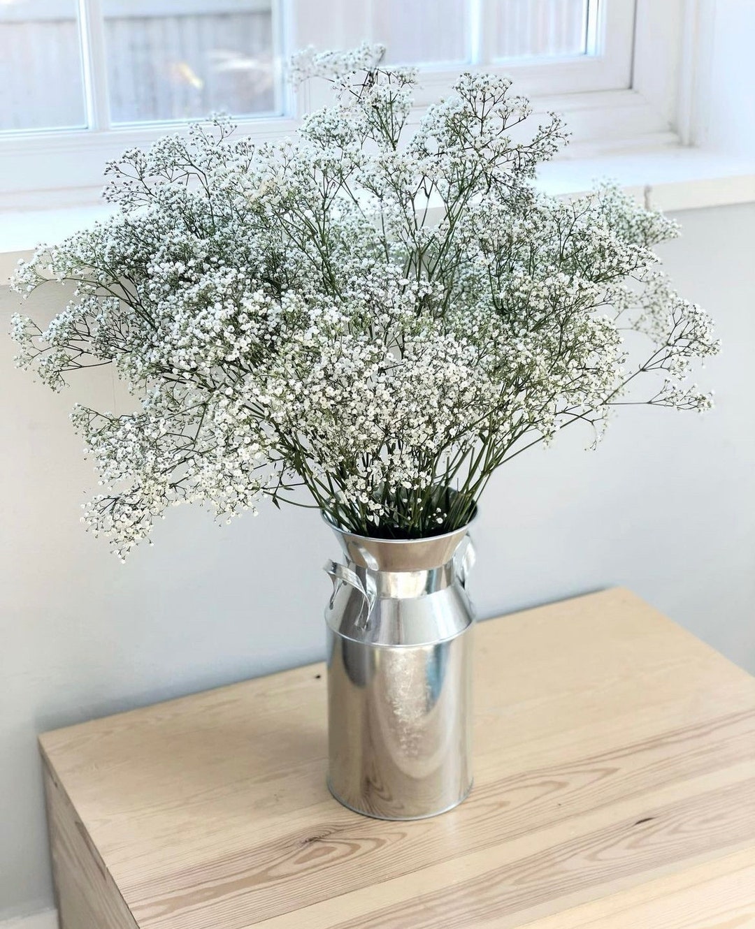 Dried Gypsophilia / Baby's Breath - Etsy