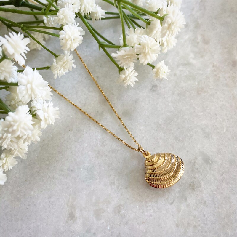 Real Seashell Necklace - Etsy