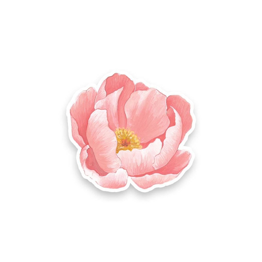 Peony Sticker White Back Flower Sticker Floral Waterproof - Etsy