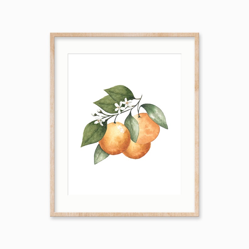 Orange Watercolor Art Print | Watercolor Art Print | Orange Blossom Art ...
