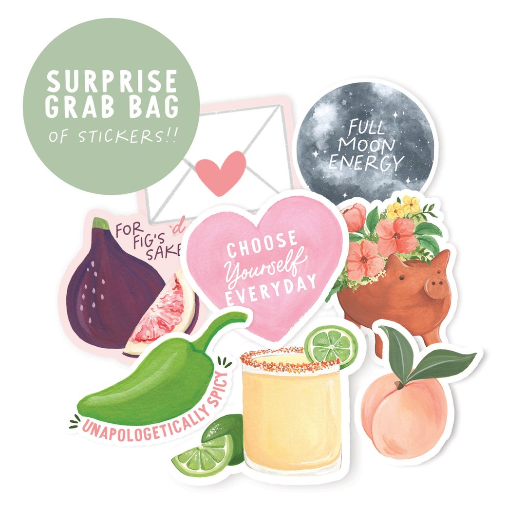 Surprise Grab Bag of Stickers Surprise Sticker Grab Bag - Etsy