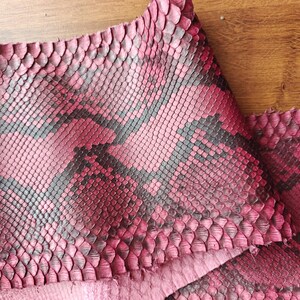 100% Genuine Snake Leather Skin (non Cites) Snakeskin Leather - Etsy