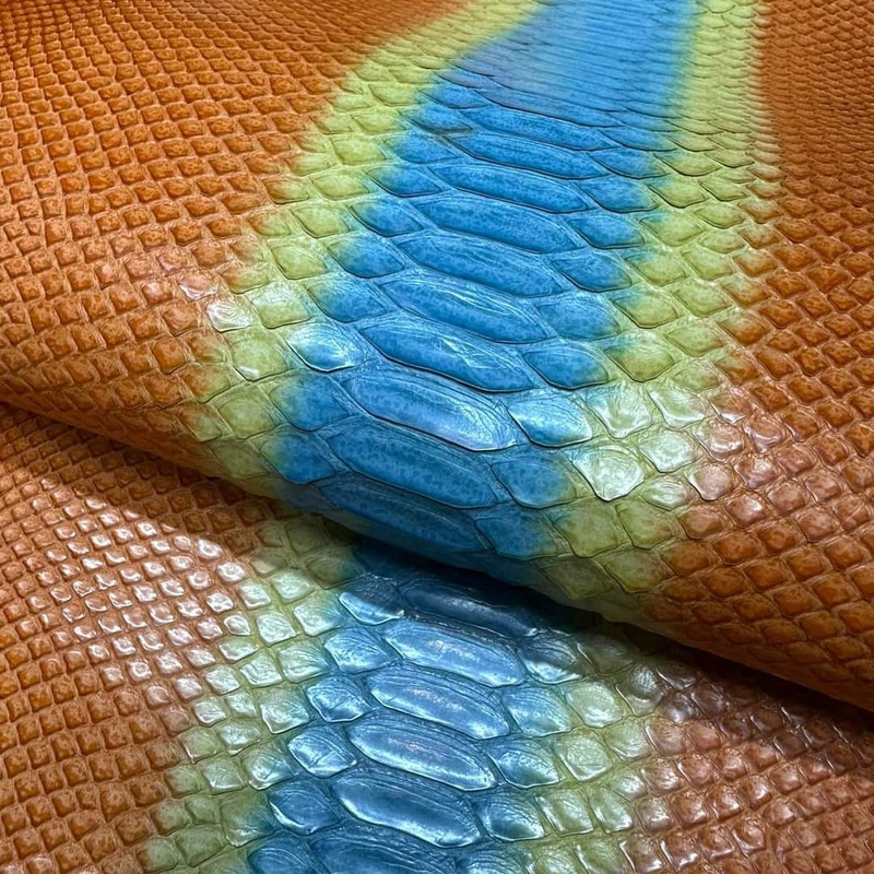 Real Snake Skin - Etsy