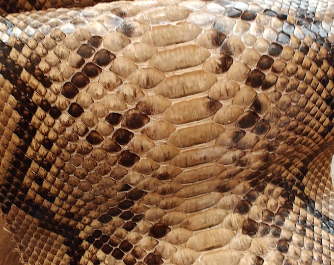 Genuine Snake Skin (non Cites) Snakeskin Leather, Exotic Pelle - Etsy