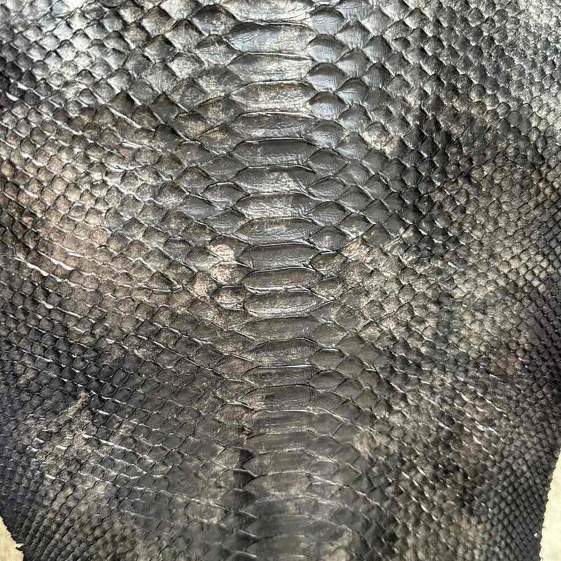 Real Snake Skin - Etsy