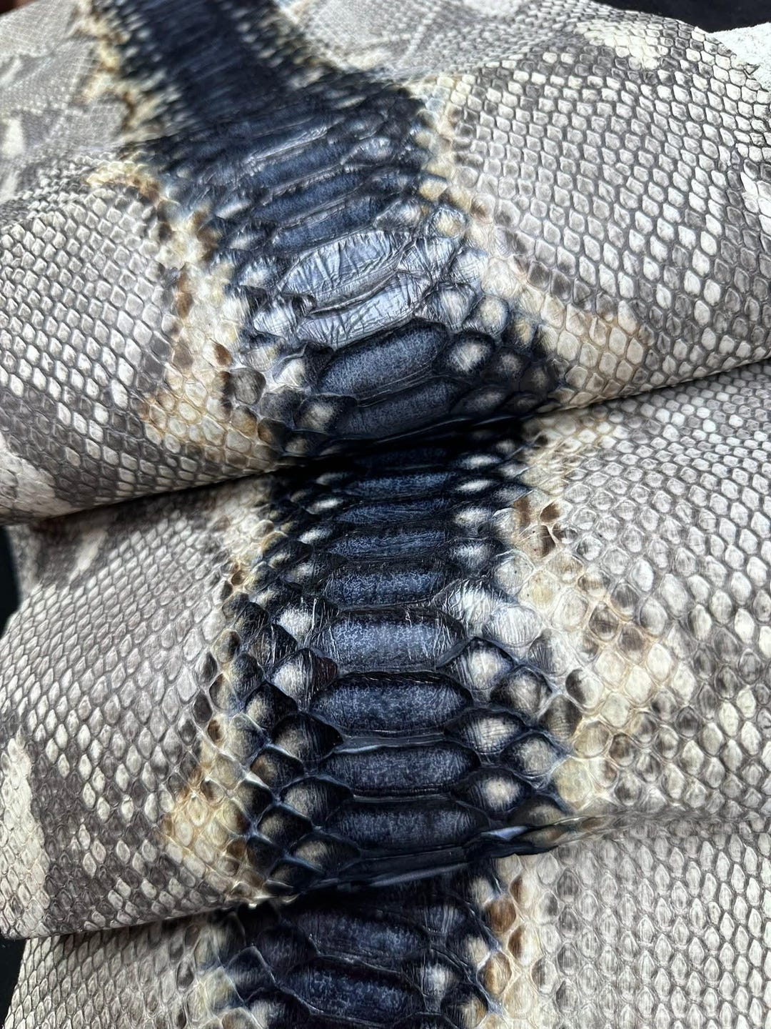 Real Snake Skin, Italian Genuine Snake Leather, Exotic Leather - Etsy