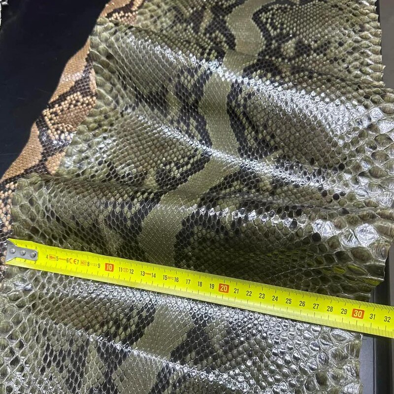 Real Snake Skin - Etsy
