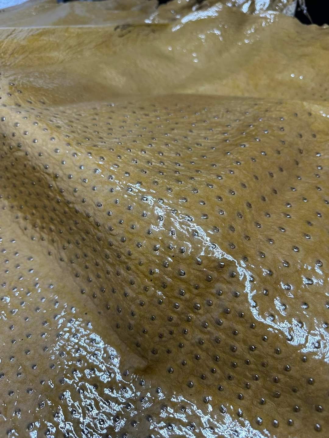 Real Ostrich Leather Hide Grade A Genuine Ostrich Leather - Etsy