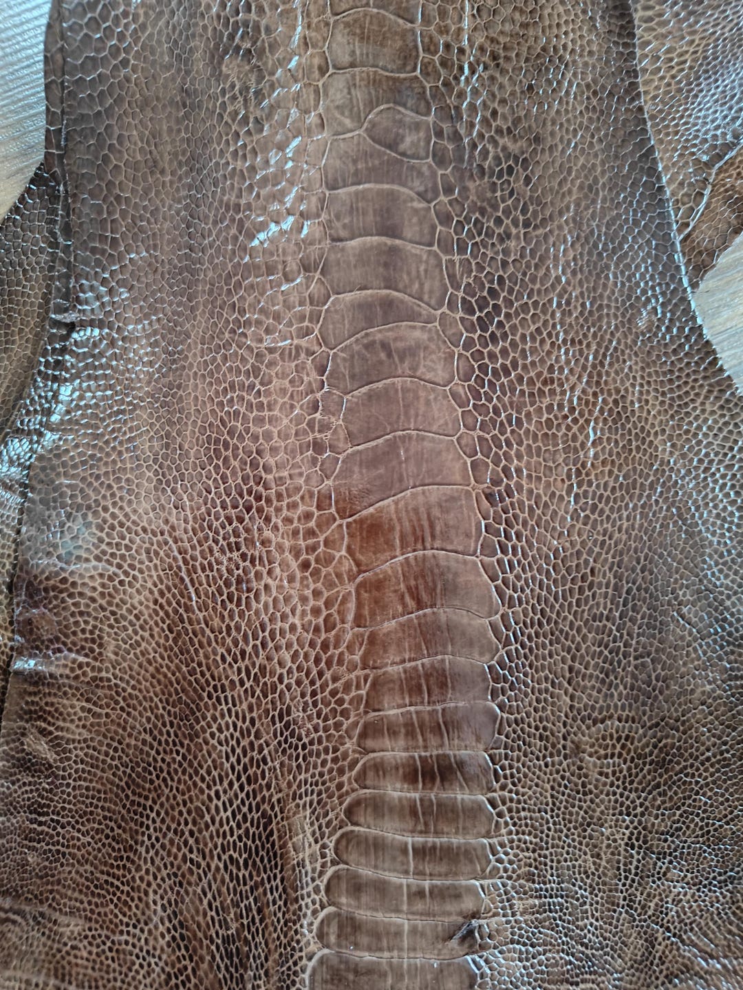 Ostrich Leg Skin Leather, Genuine Ostrich Leather, Exotic Pelle - Etsy