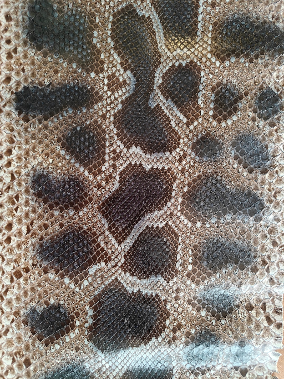 100% Genuine Snake Leather Skin Snakeskin Leather - Etsy