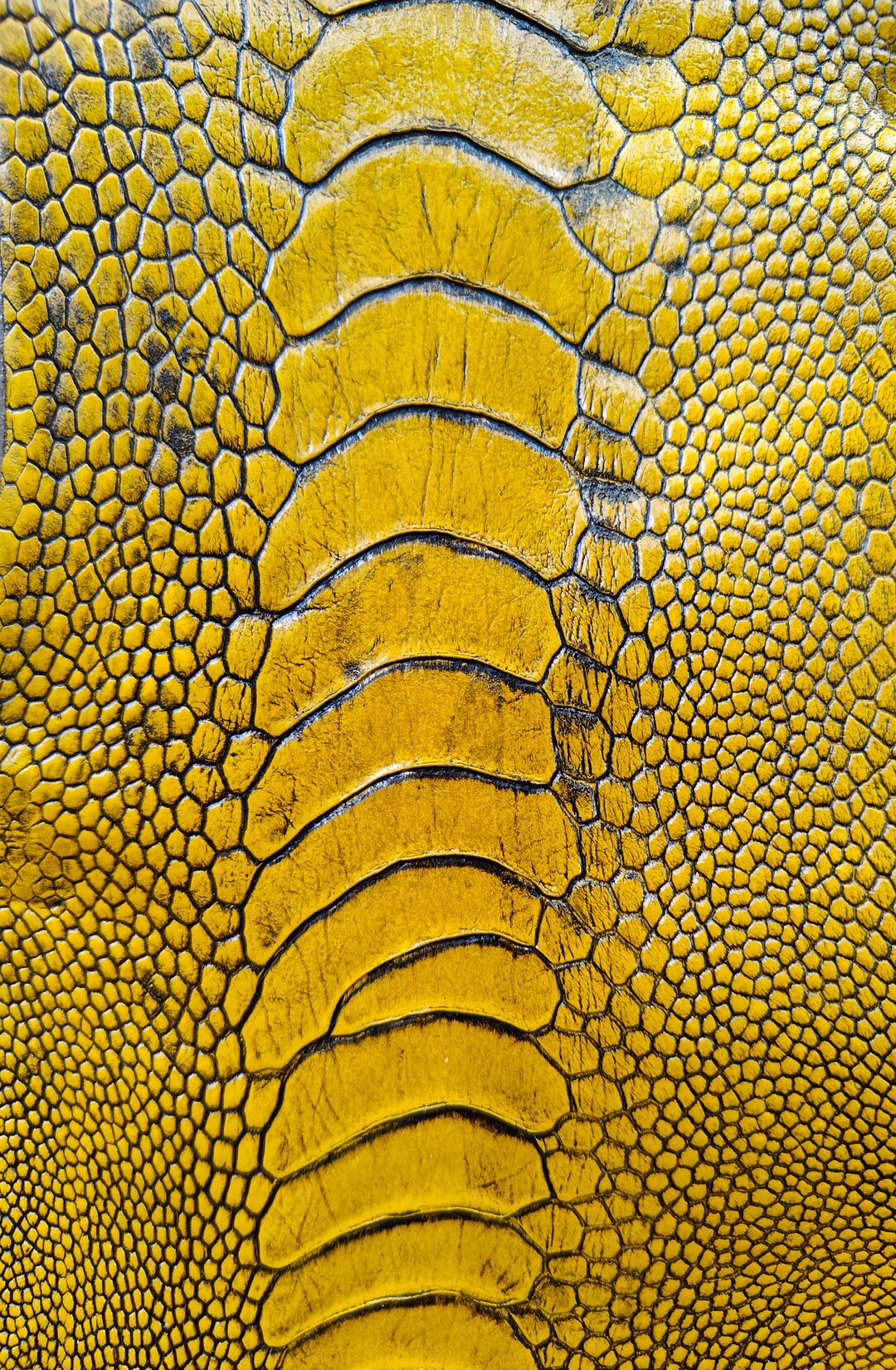 Ostrich Leg Skin Leather, Genuine Ostrich Leather - Etsy