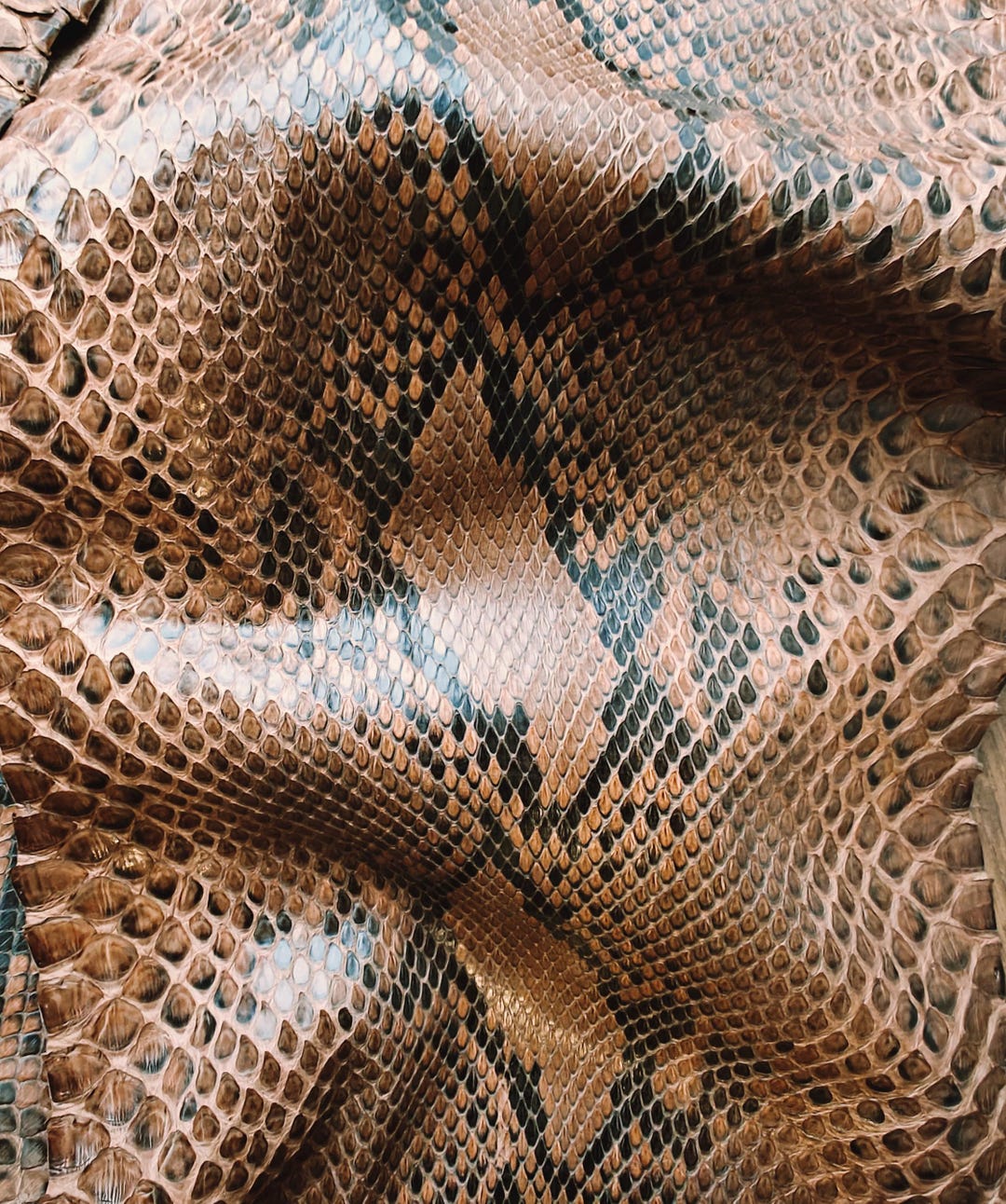 Genuine Snake Skin, Snakeskin Leather, Exotic Leather - Etsy