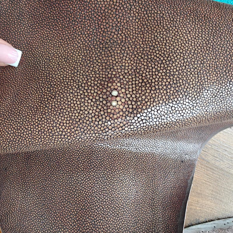 Fish Skin Leather - Etsy