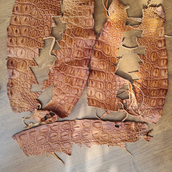 Exotic Leather - Etsy