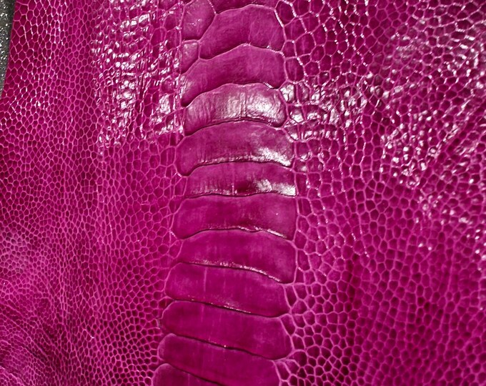 Real Ostrich Skin, Ostrich Leg Skin Leather, Exotic Leather, Exotic ...