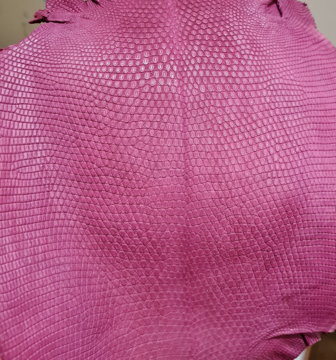 Real Lizard Skin, Italian Genuine Iguana Leather - Etsy