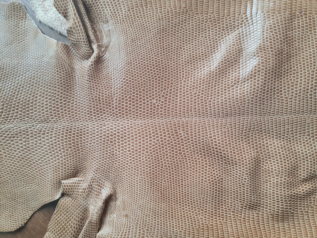 Real Lizard Skin Italian Genuine Iguana Leather - Etsy