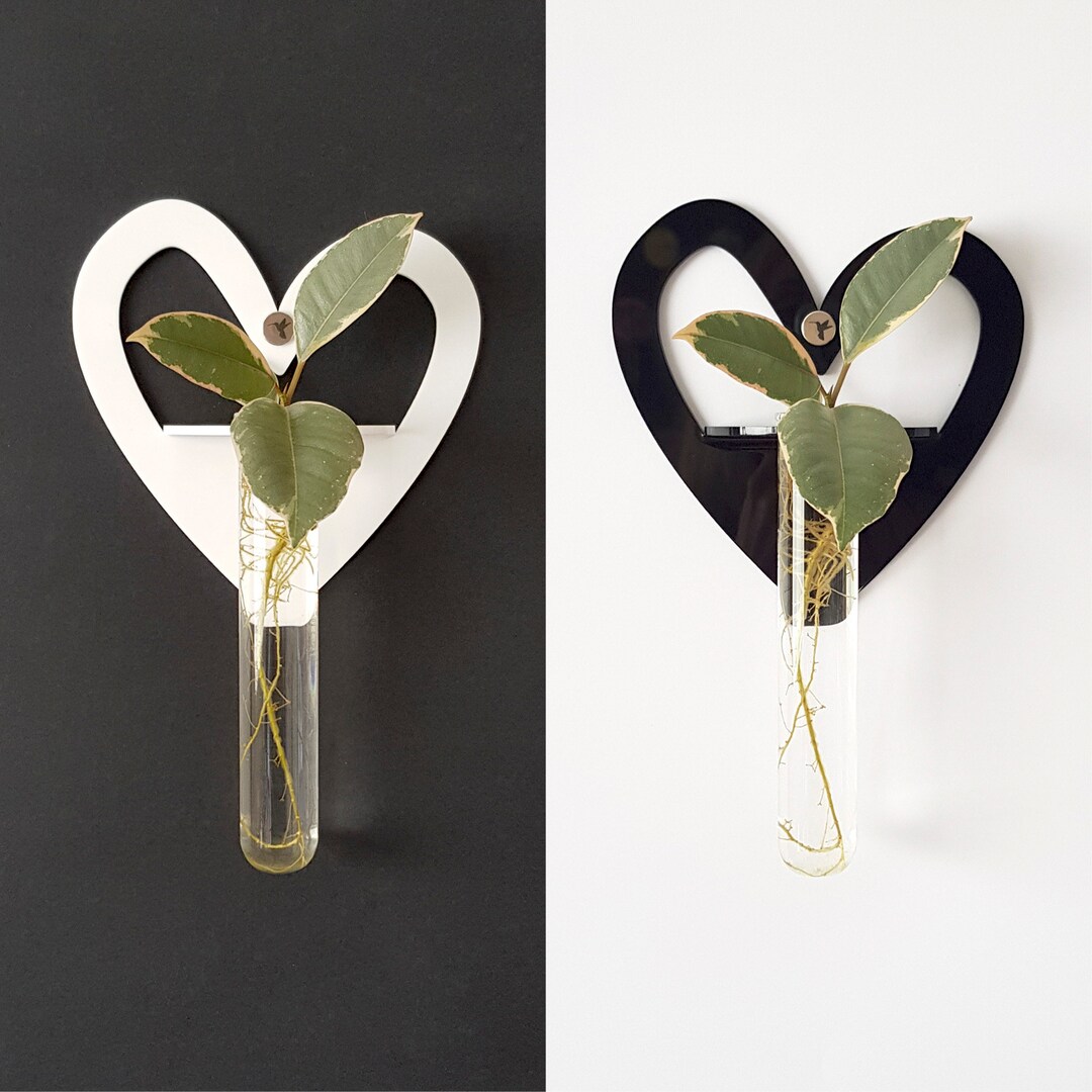HEART MONO Acrylic Propagation Wall Station Wall Art Wall Garden Wall ...