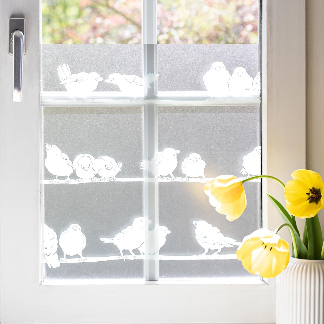 45cm X 1.5m Dc Fix FILIPPA Premium Static Cling Vinyl Window Privacy ...