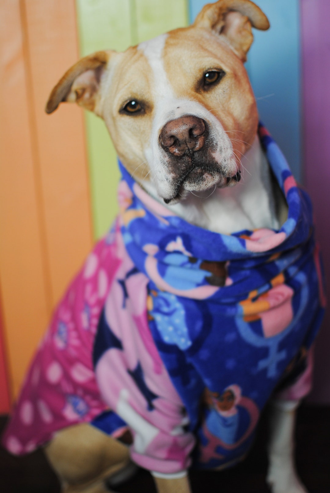 Girl Power Mix and Match Fleece Dog Sweatshirt - Etsy